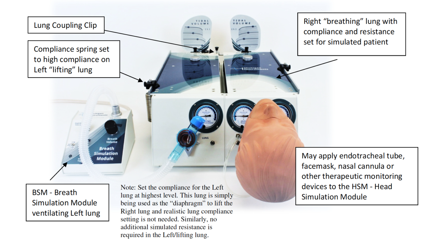 Simulation of Spontaneous Breathing Adult Patient