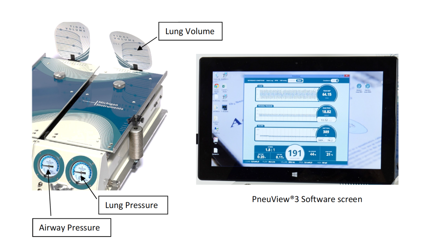 Simulation of Spontaneous Breathing Adult Patient